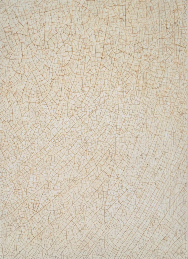 Sessant’anni di Vija Celmins in mostra alla Fondazione Beyeler — ARTBOOMS