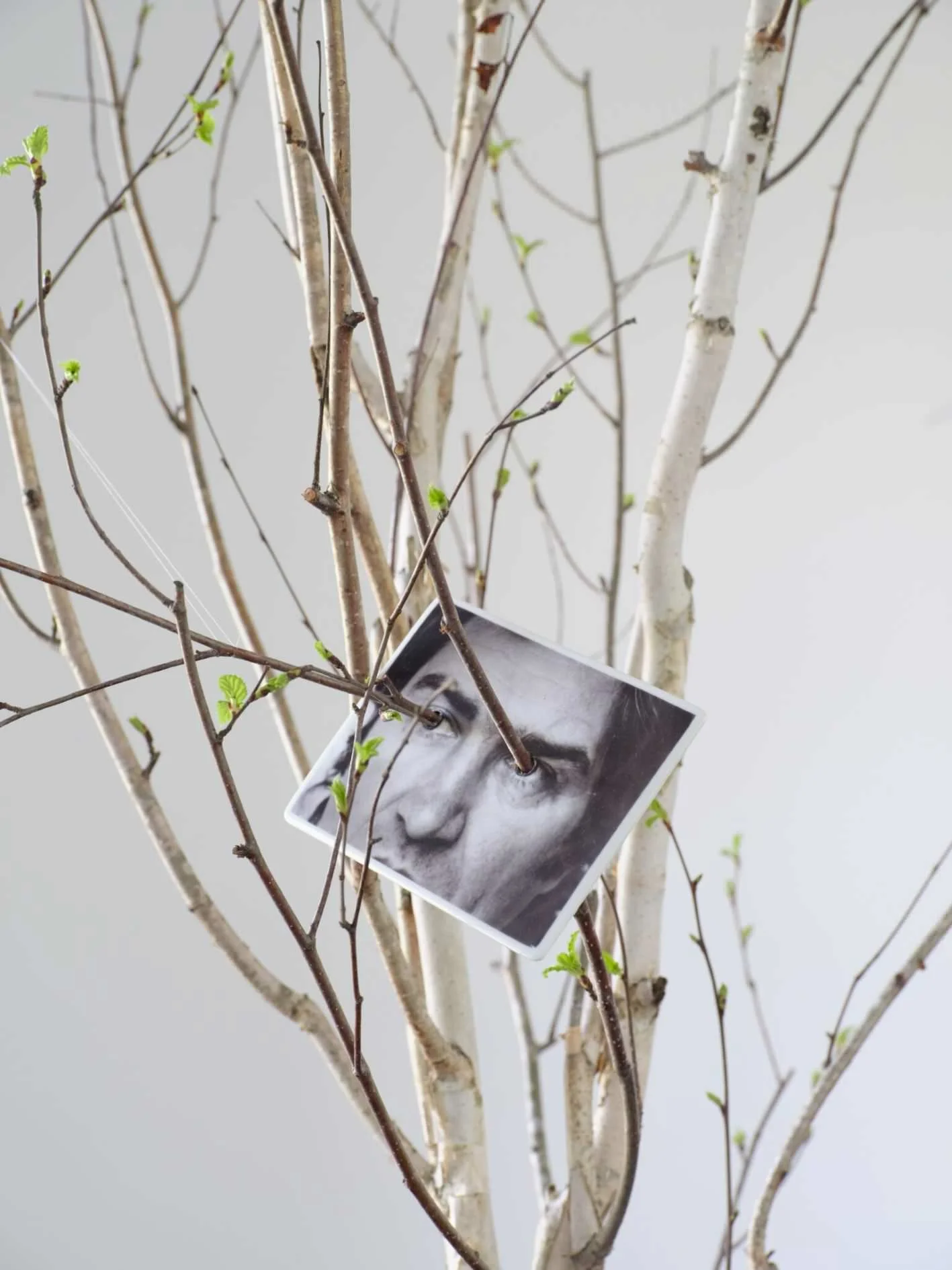 La grande mostra di Giuseppe Penone alle Serpentine Gallery — ARTBOOMS