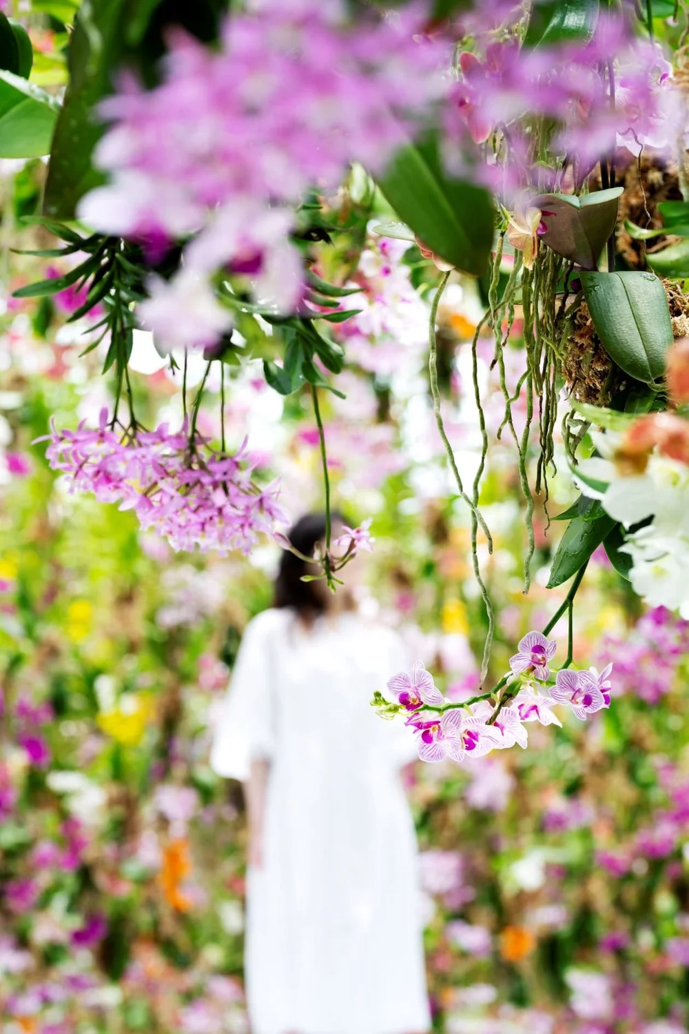 Floating Flower Garden: il giardino di orchidee di Teamlab — ARTBOOMS