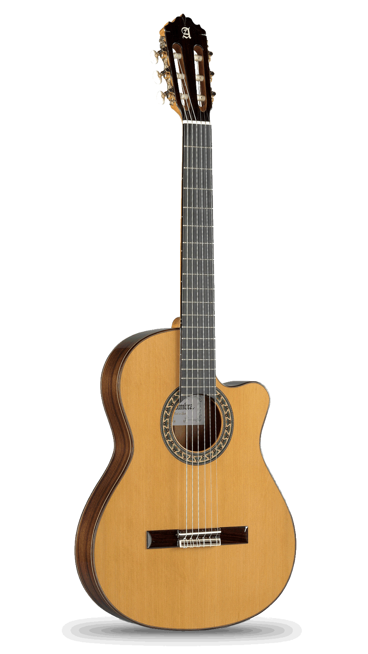 Alhambra — Crossover & Cutaway Classical & Flamenco Guitars ...