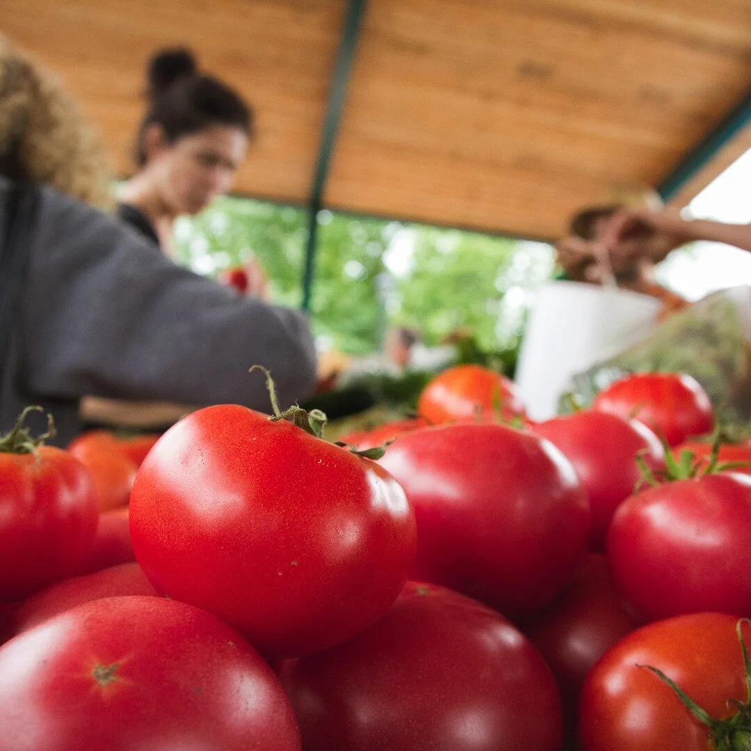 Ressources sur l'Agriculture et le Maraîchage Biologique - Le jardinier ...