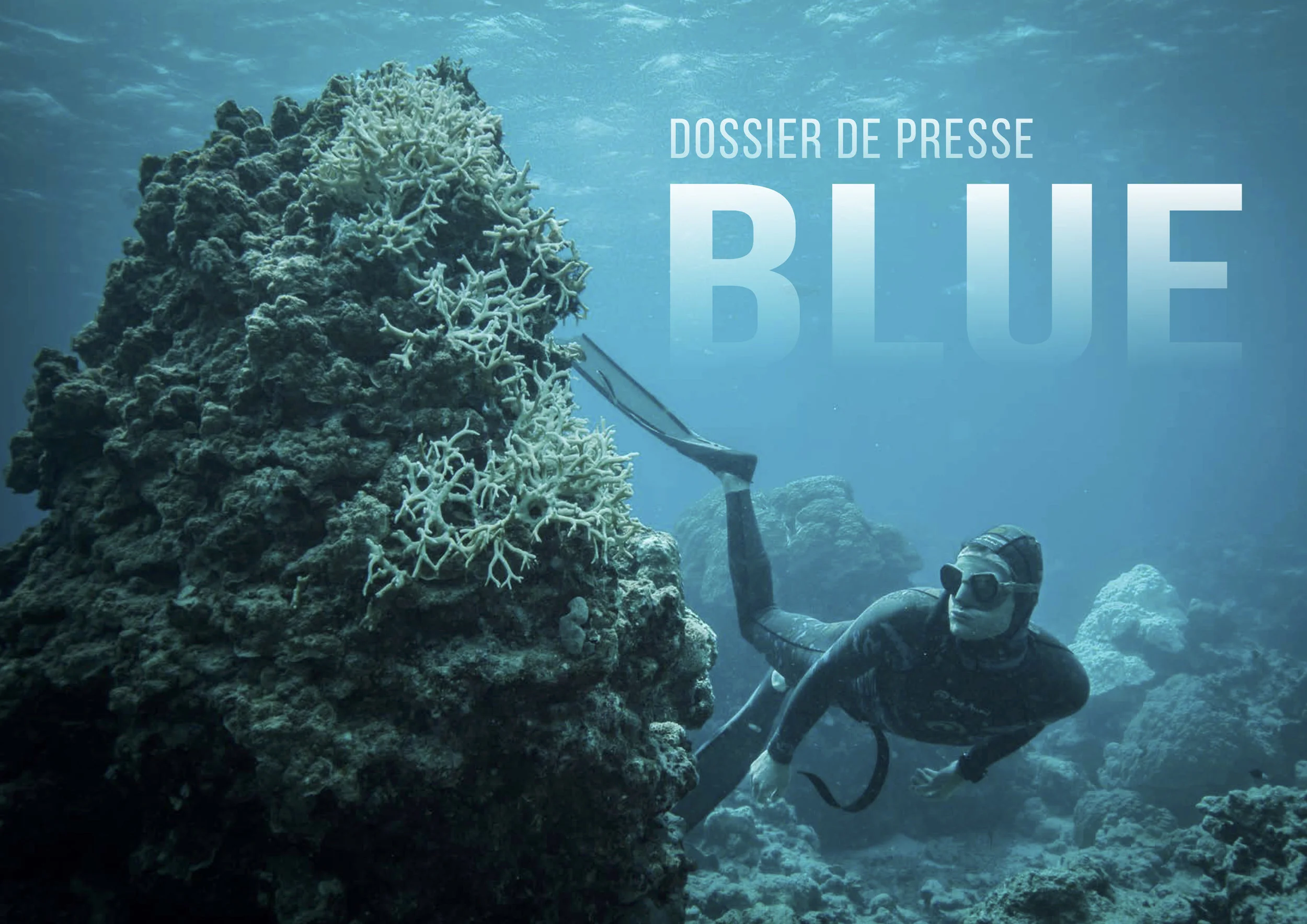 Blue The Film - Resources