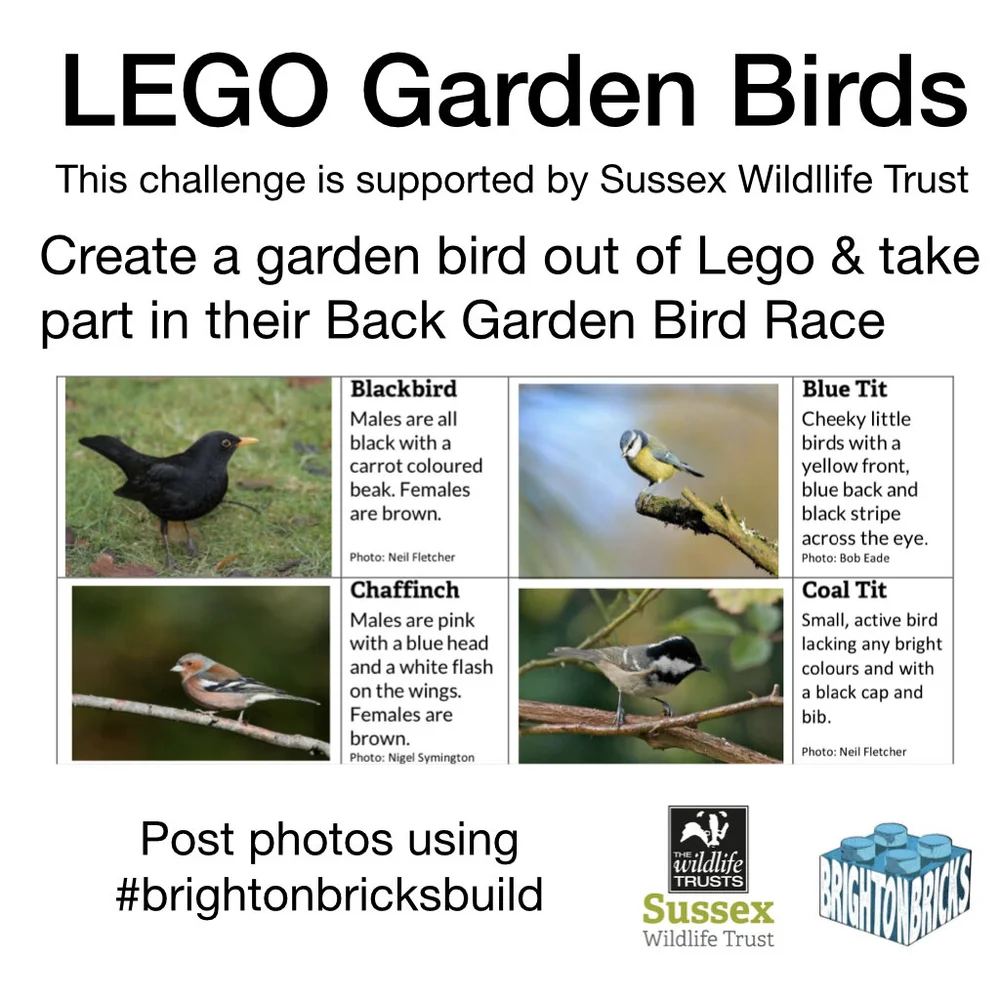 #BrightonBricksBuild Challenge LEGO Garden Birds — Brighton Bricks