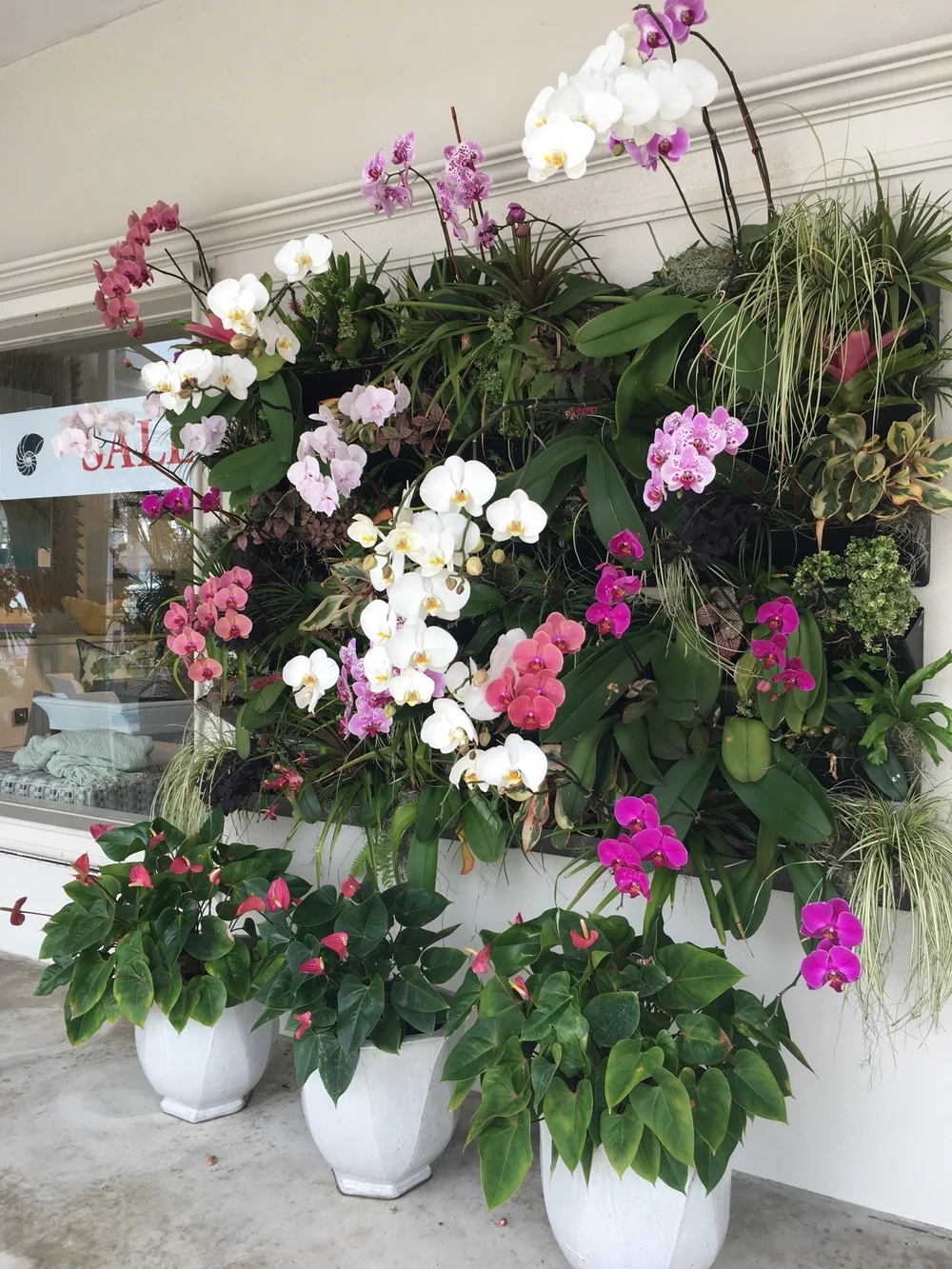 Blog — Bay Design Store