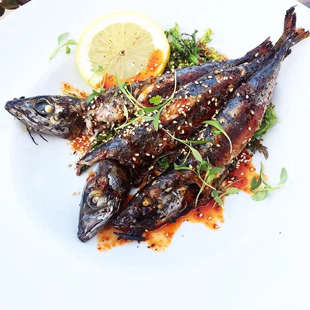 CONTACT US — WRENCH & RODENT SEABASSTROPUB