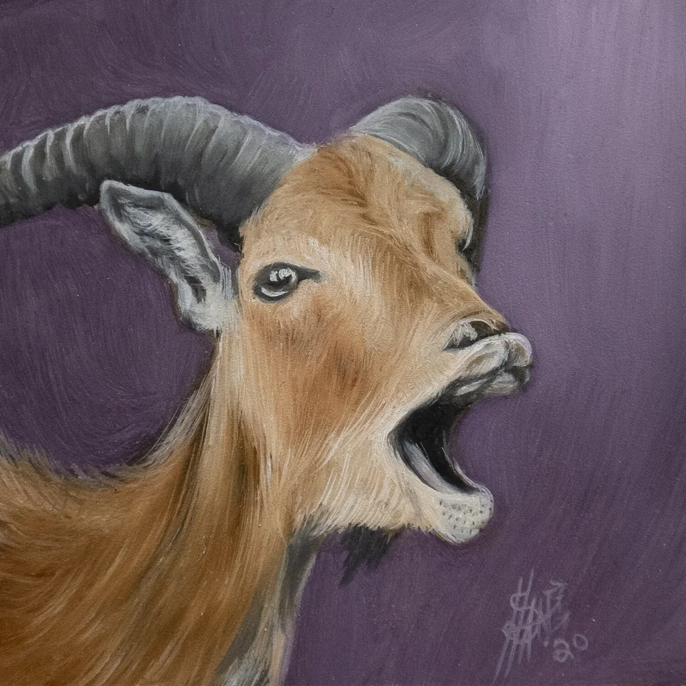 Screaming Goat
