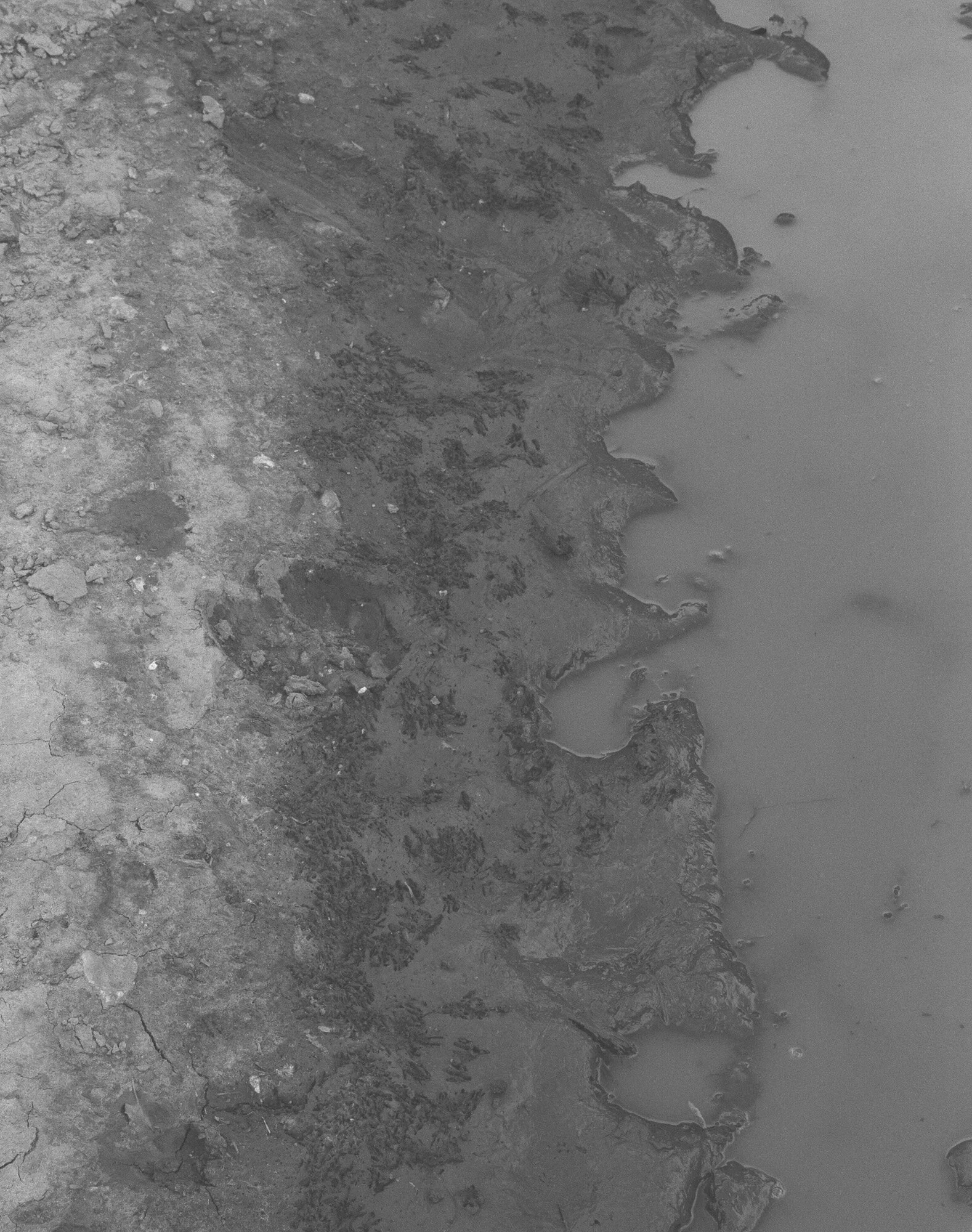 A CERTAIN MOVEMENT — SAM LAUGHLIN