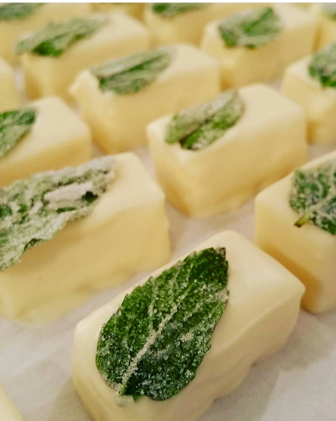 Shop — Chocolat by Adam Turoni