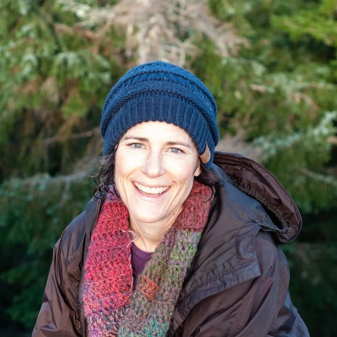 St. Thomas Church - Collection Title