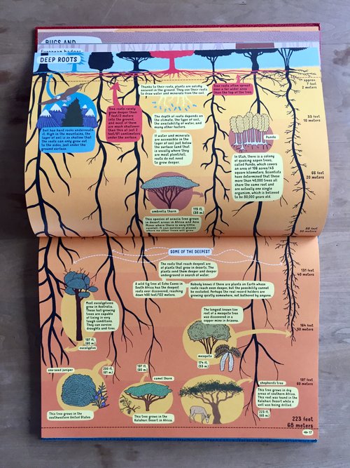 Immersed in Under Water, Under Earth + Q&A with the Creators — ILLUSTORIA