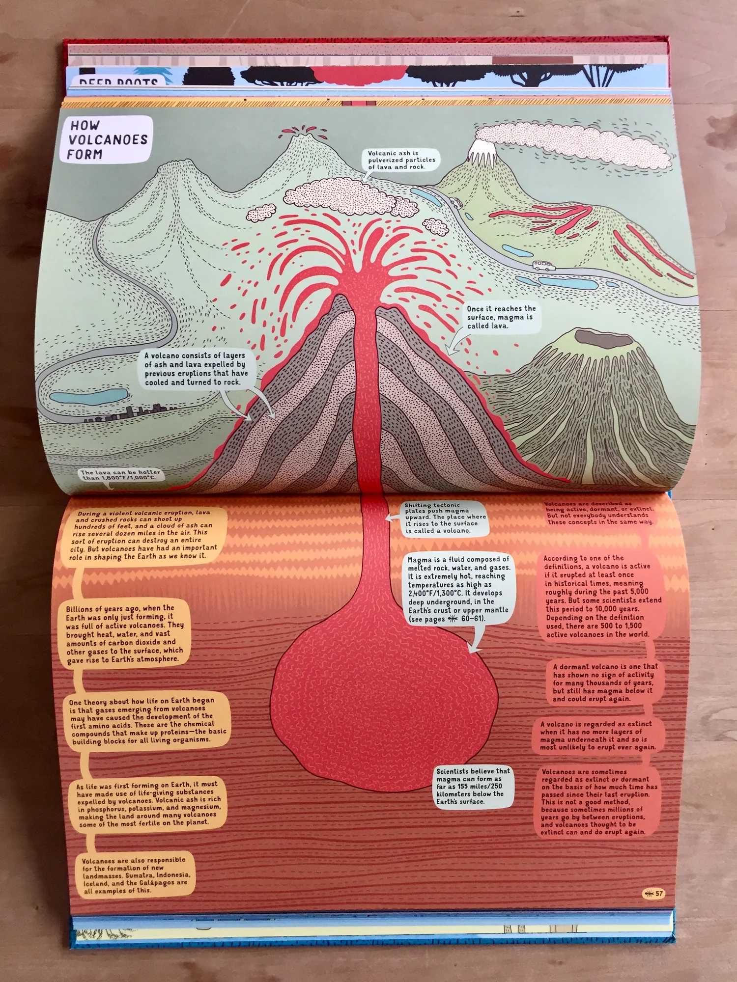 Immersed in Under Water, Under Earth + Q&A with the Creators — ILLUSTORIA