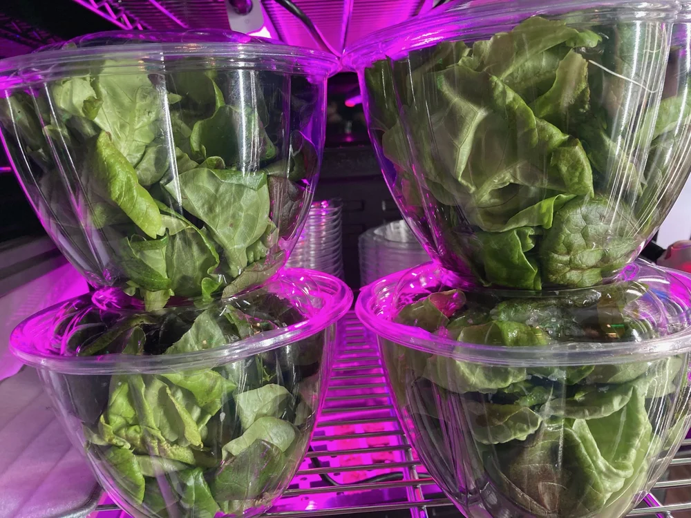 Who We Are — Around The Bend Farms, Inc.