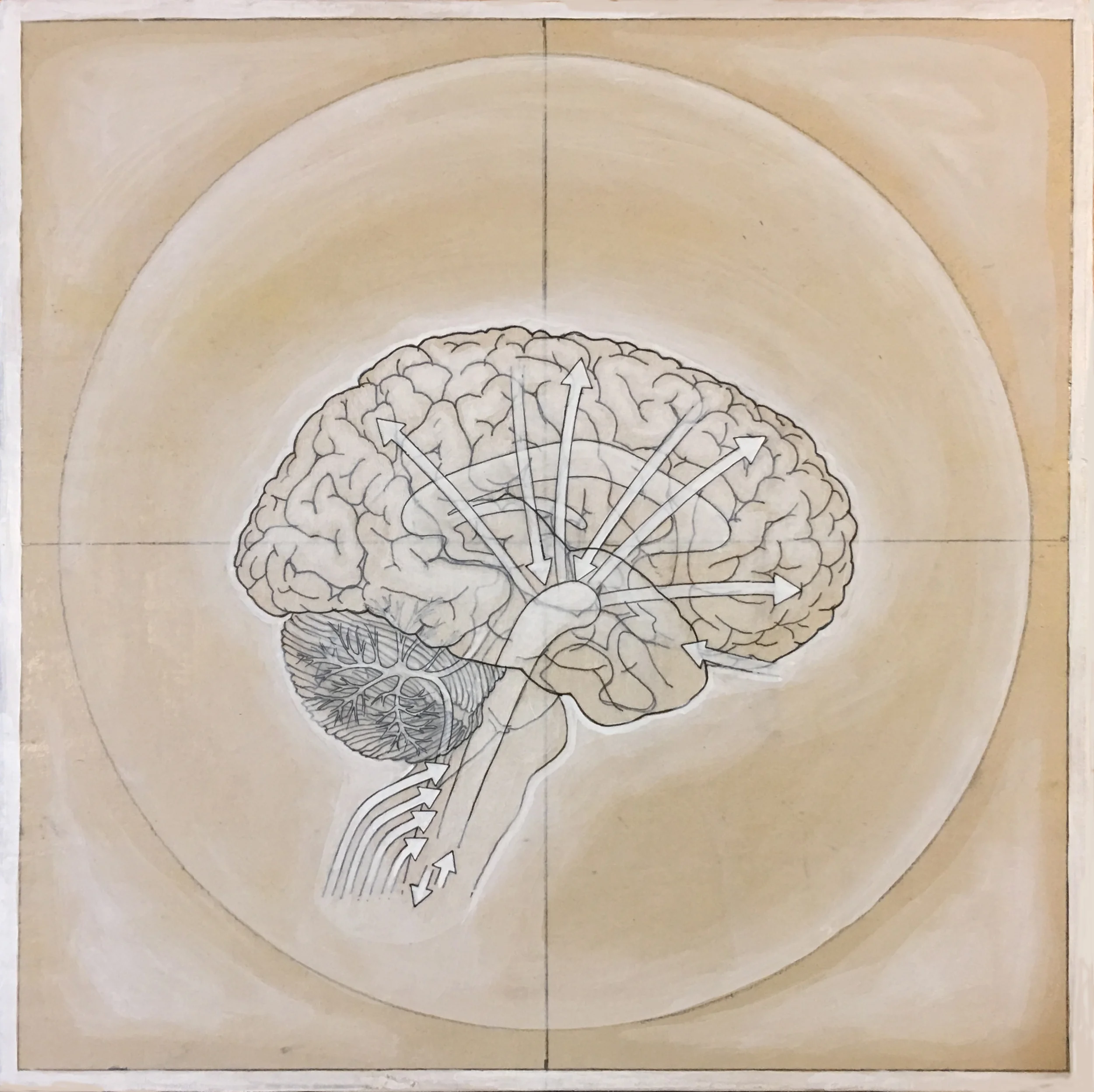 Human Brain (v.1.1) — CASEY CRIPE
