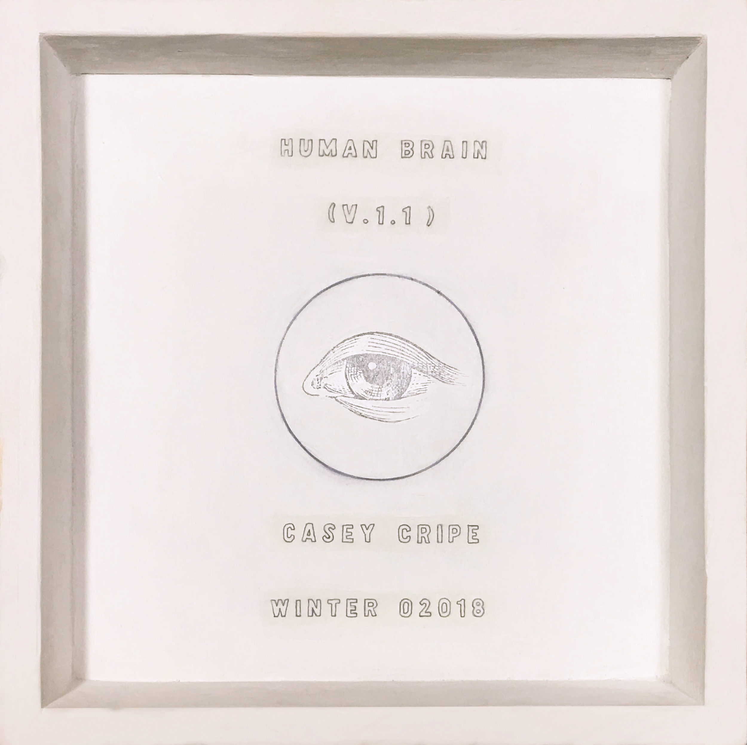 Human Brain (v.1.1) — CASEY CRIPE