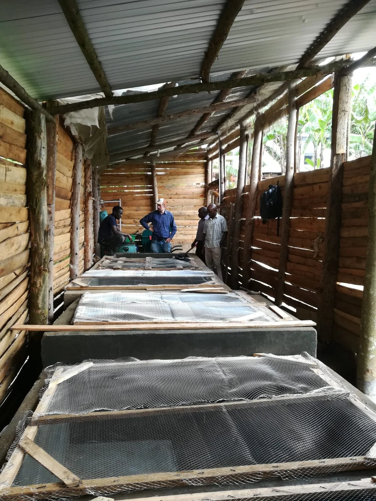 Supporting insect larvae production for fish feed in Uganda ...