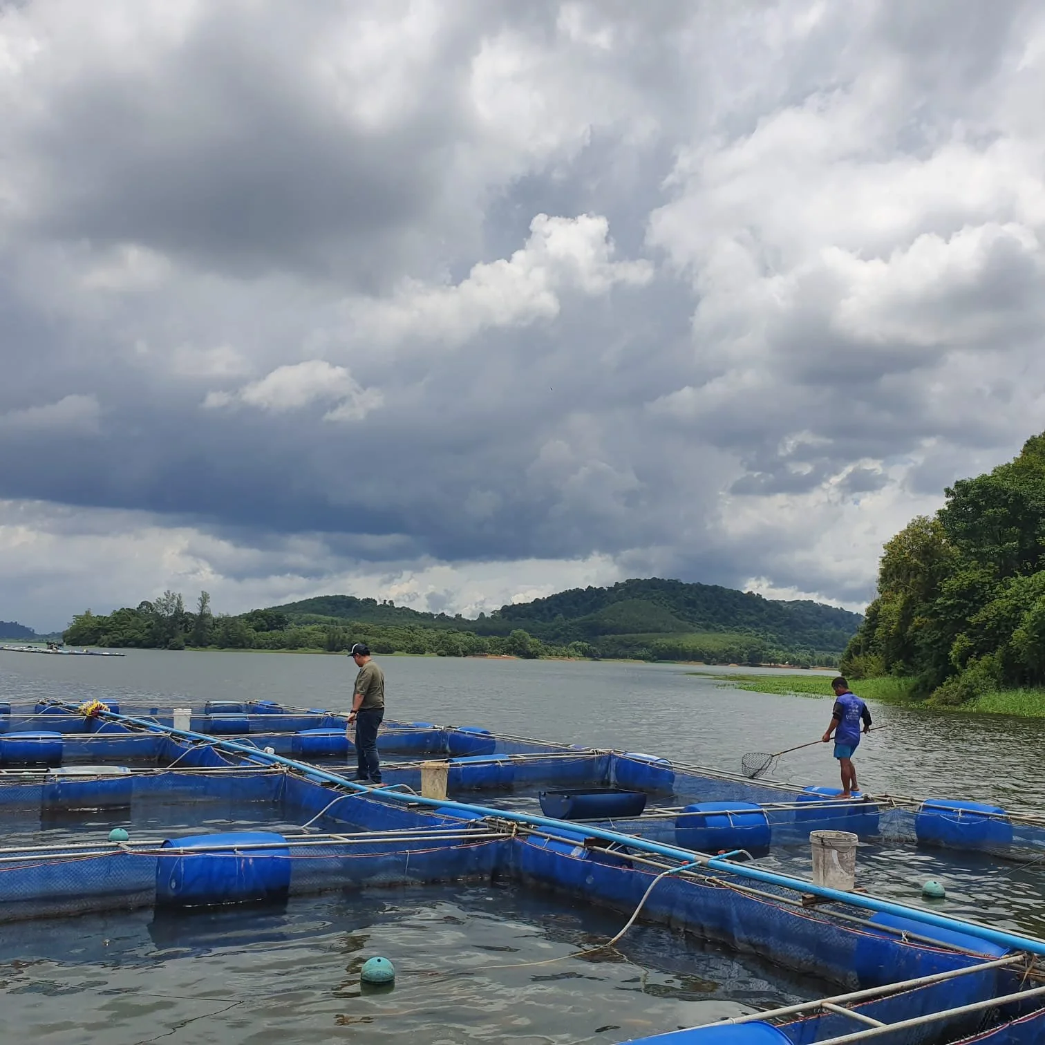 Tilapia farm and hatchery visit — Sustainable Aquaculture @ Stirling
