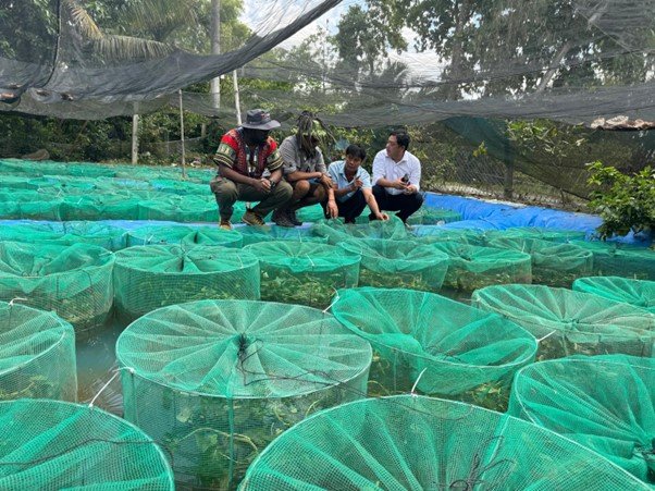 Visit to snakehead hatchery and farm in An Giang, Vietnam — Sustainable ...