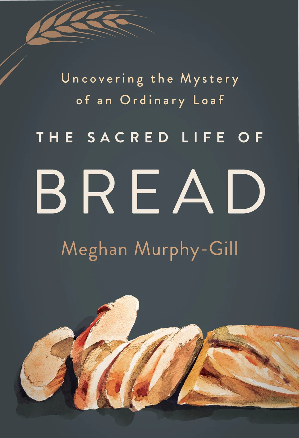Book — Meghan Murphy-Gill