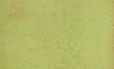 Walls and Mosaics — Tile Imports NZ