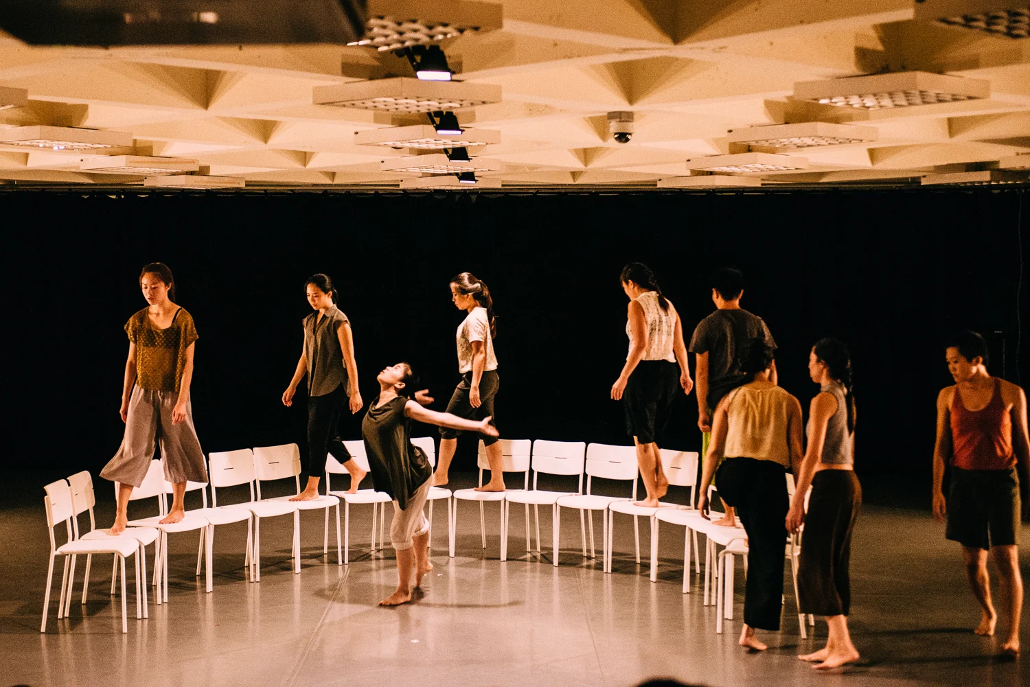 The Shyness of Trees — Borderline Arts