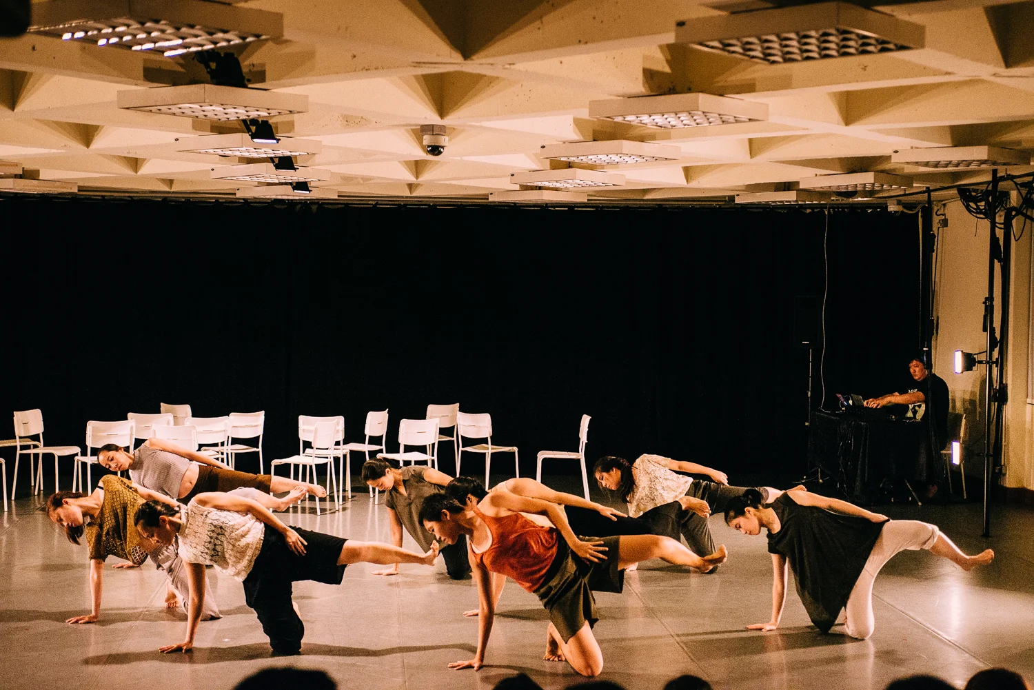 The Shyness of Trees — Borderline Arts