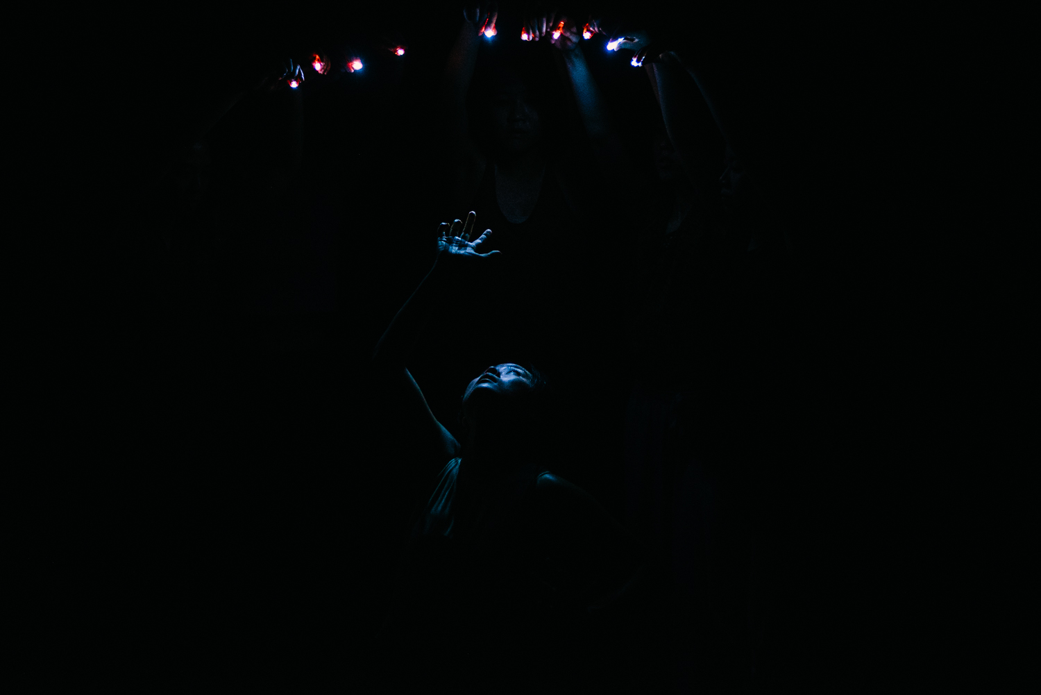 The Shyness of Trees — Borderline Arts