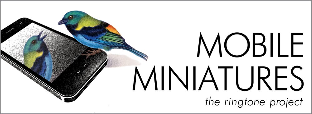 Mobile Miniatures — Spektral Quartet