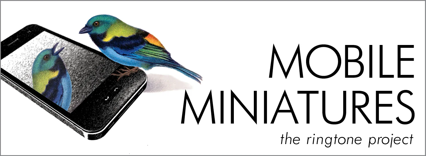 Mobile Miniatures — Spektral Quartet