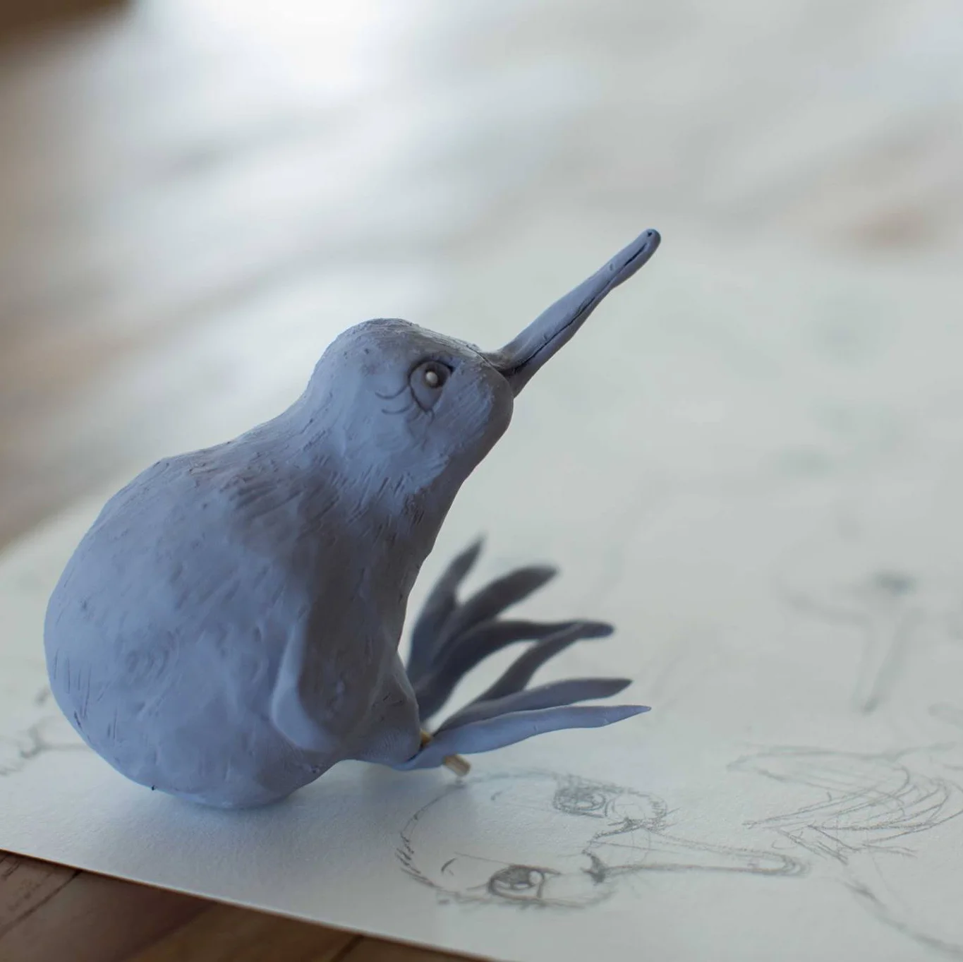 About Kuwi — Kuwi the Kiwi