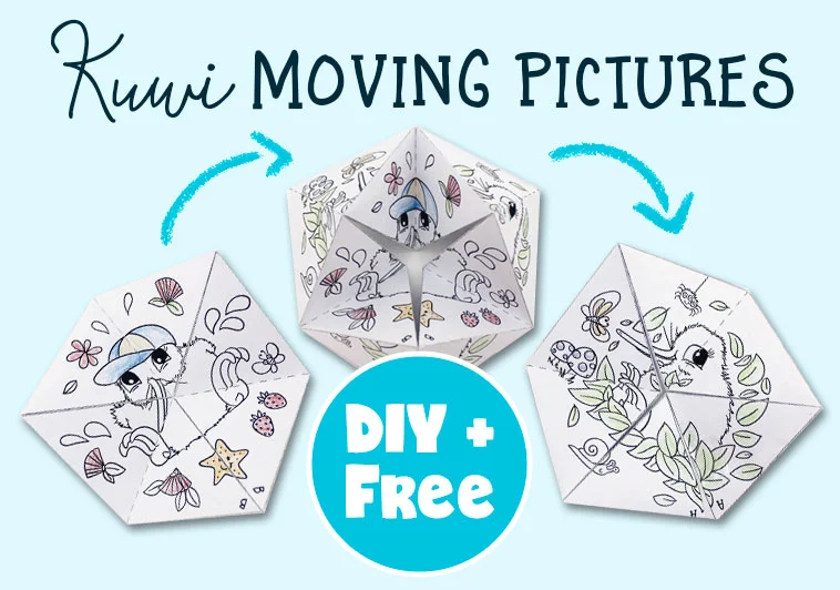 Kuwi Moving Pictures — Kuwi the Kiwi