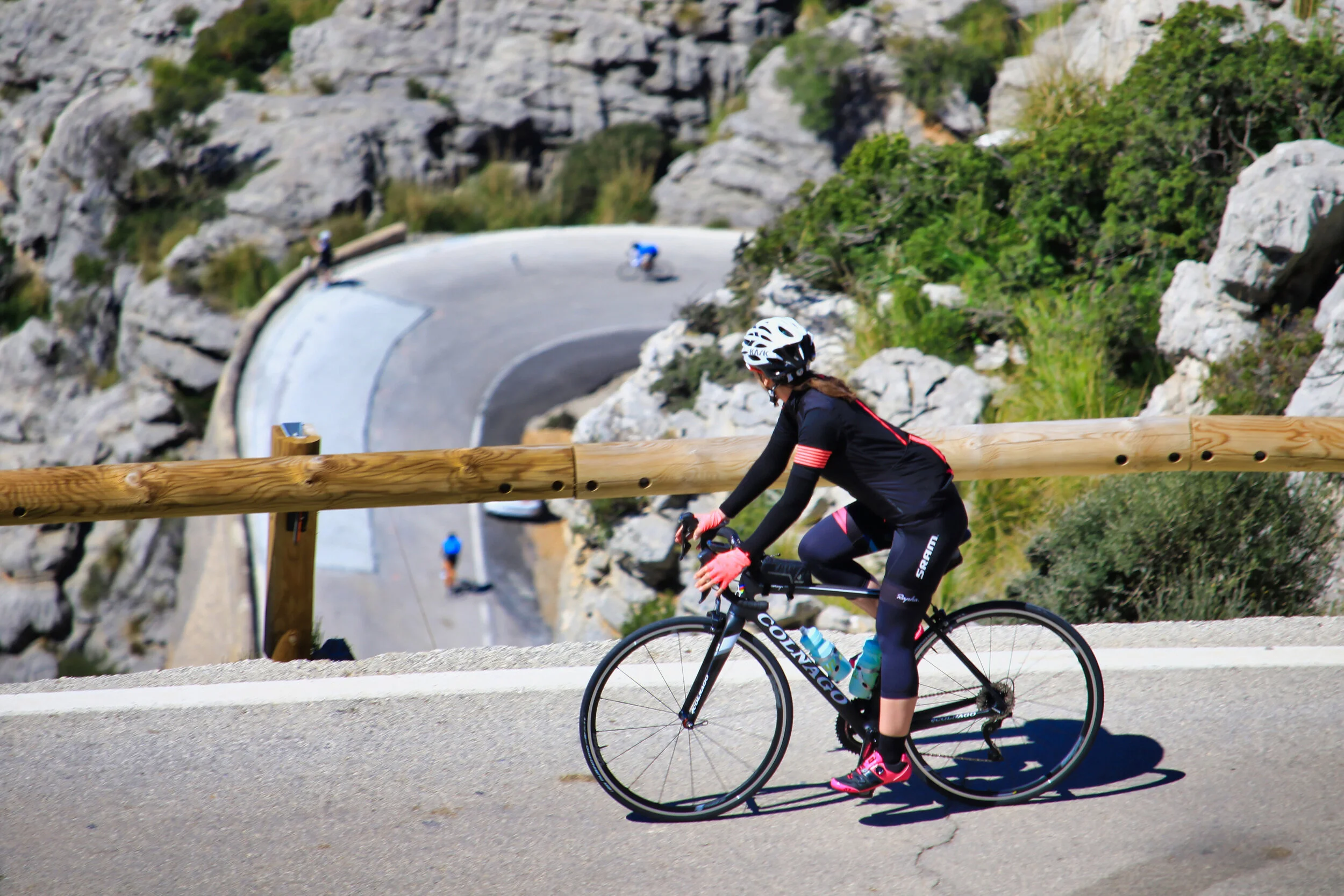 Jen Lewis Cycling Art - Magazine - Ride Velo