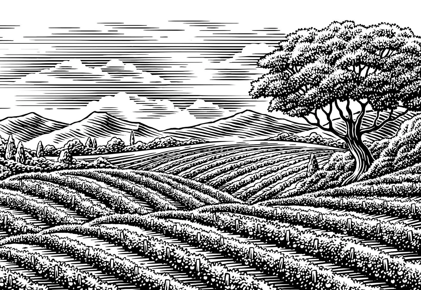 Scratchboard Art Landscape