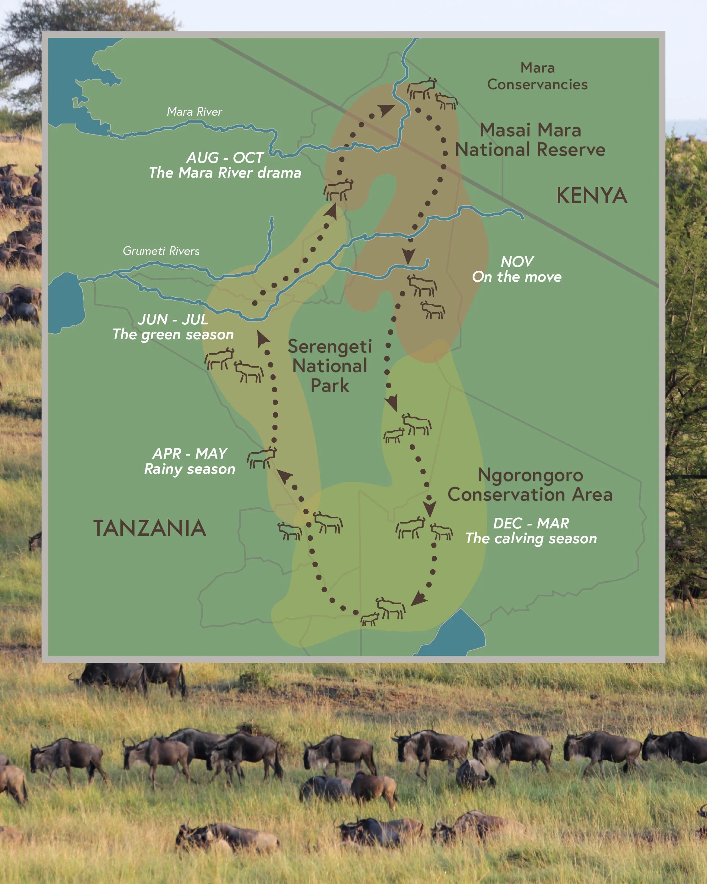 The Great Migration In Serengeti Tanzania And Masai Mara Kenya the-great-migration-in-serengeti-tanzania-and-masai-mara-kenya