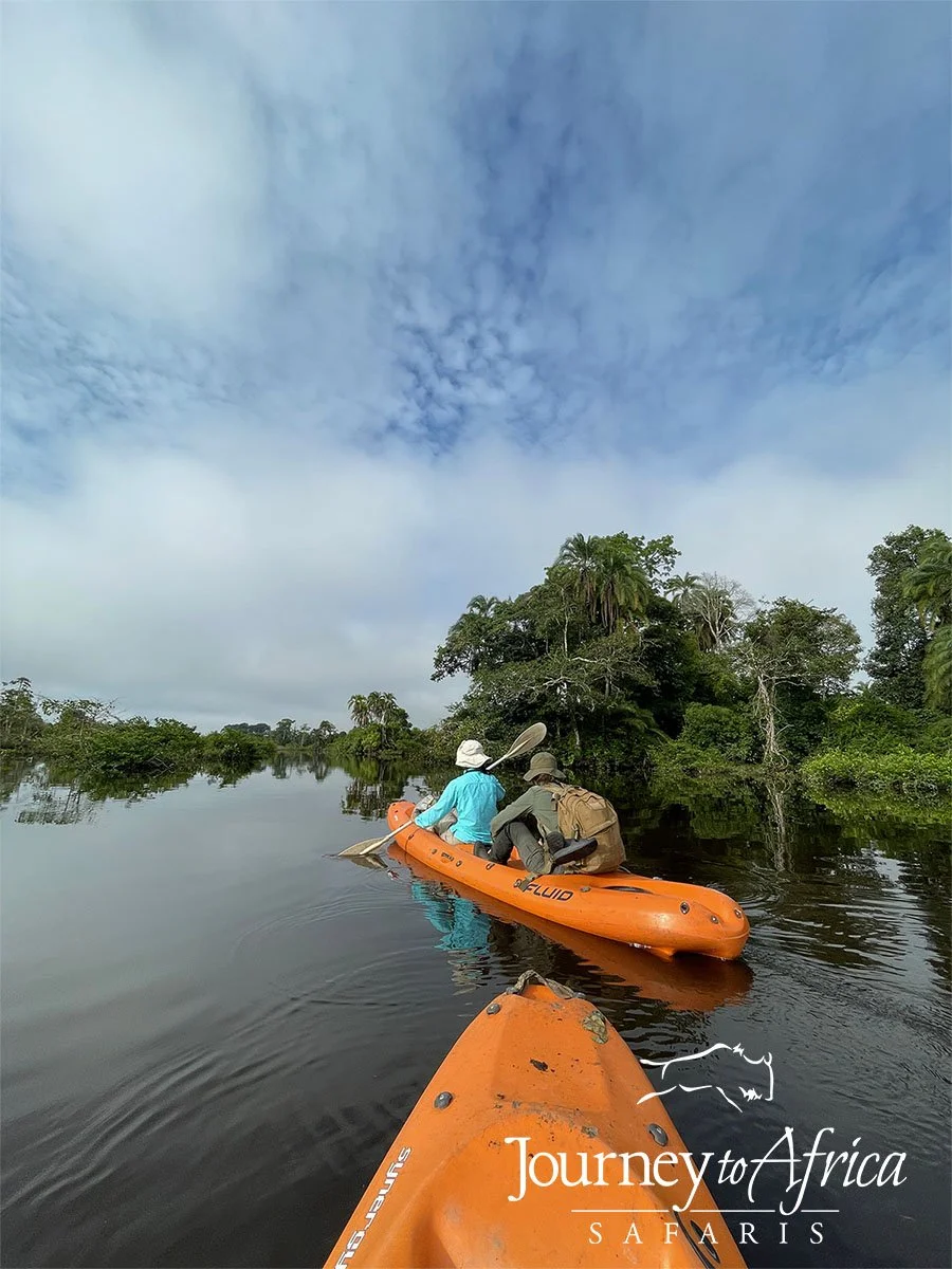 SAFARI BLOG | Journey To Africa Safaris