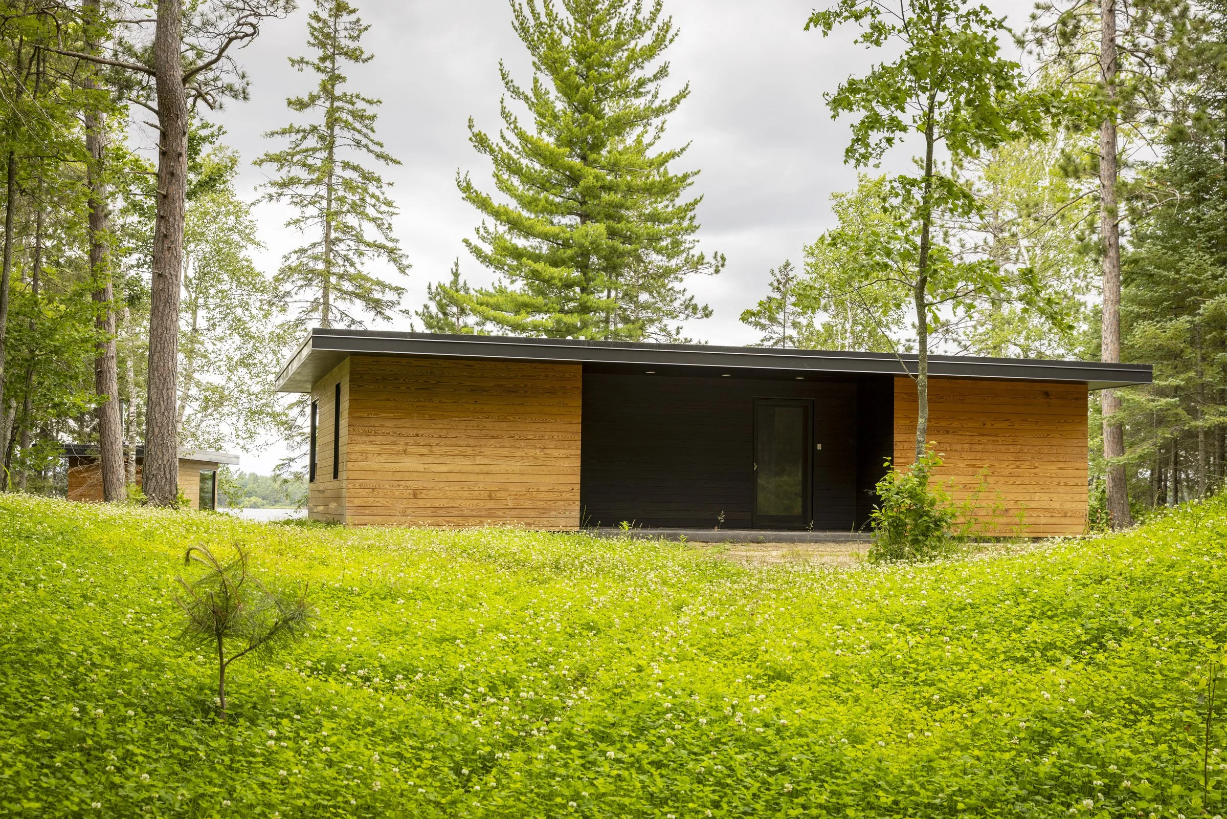 Arbor Wood Co. | Thermally Modified Wood