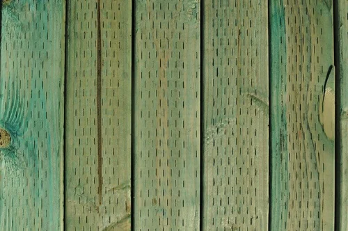 The Differences Between Pressure Treated and Thermally Modified Wood ...