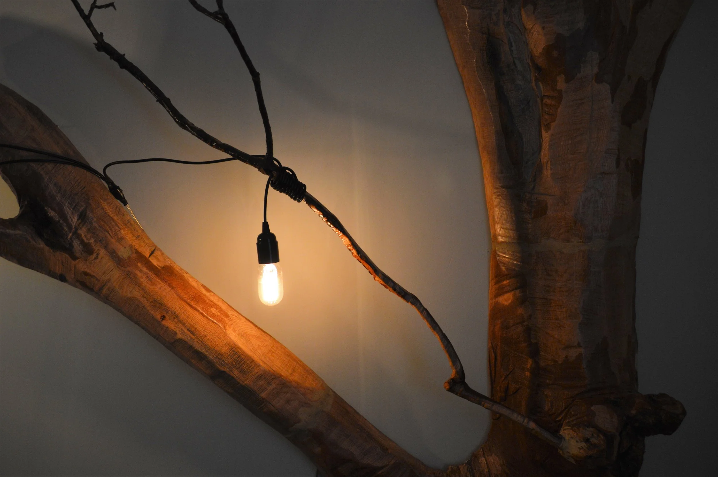 Indoor Tree — Taylor Jarson Designs