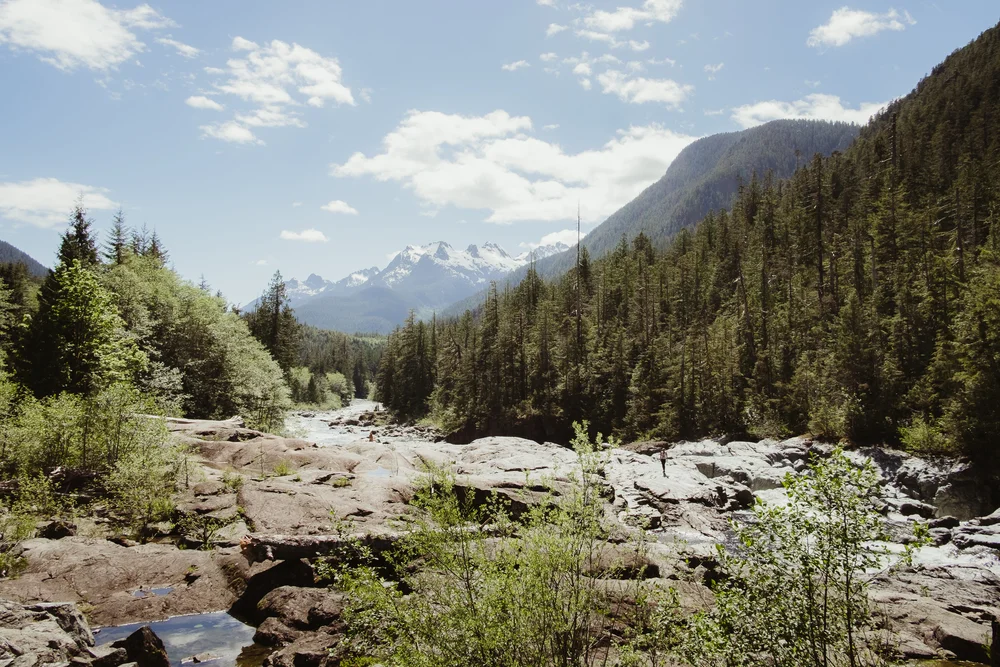 Three Days in Tofino, BC » TRAVEL GUIDE — Vivian Chen