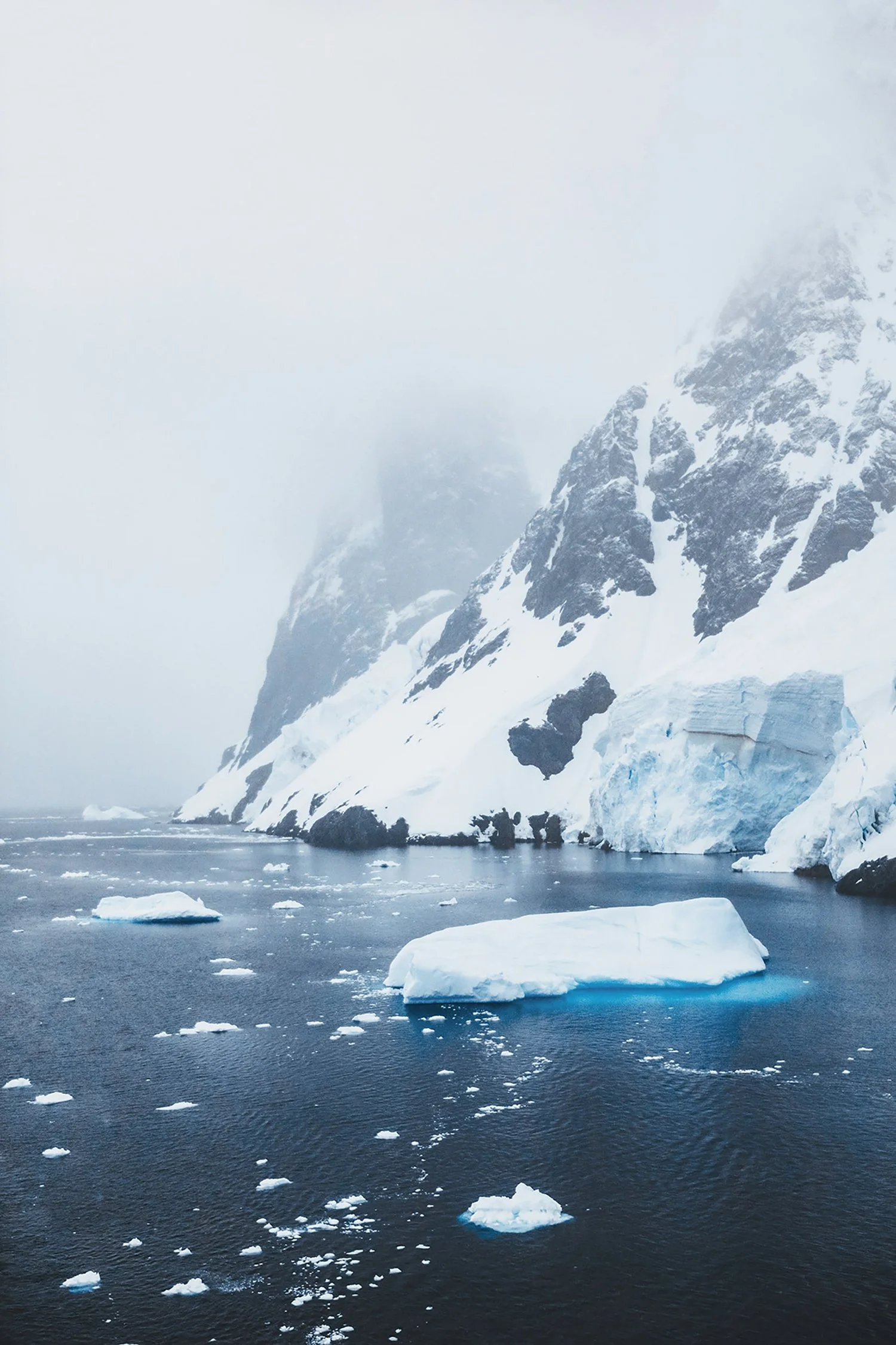 Photography by Luke Gram