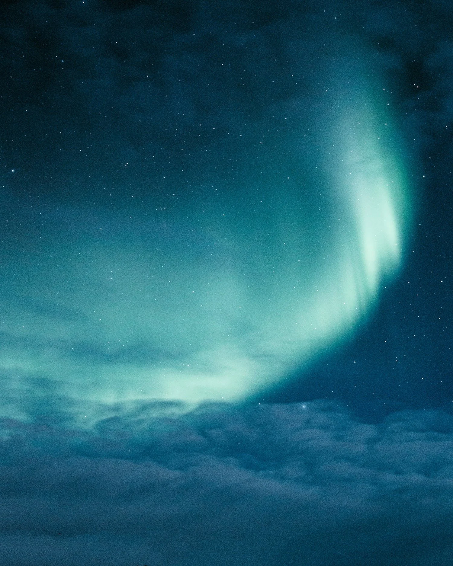 Photography by Luke Gram