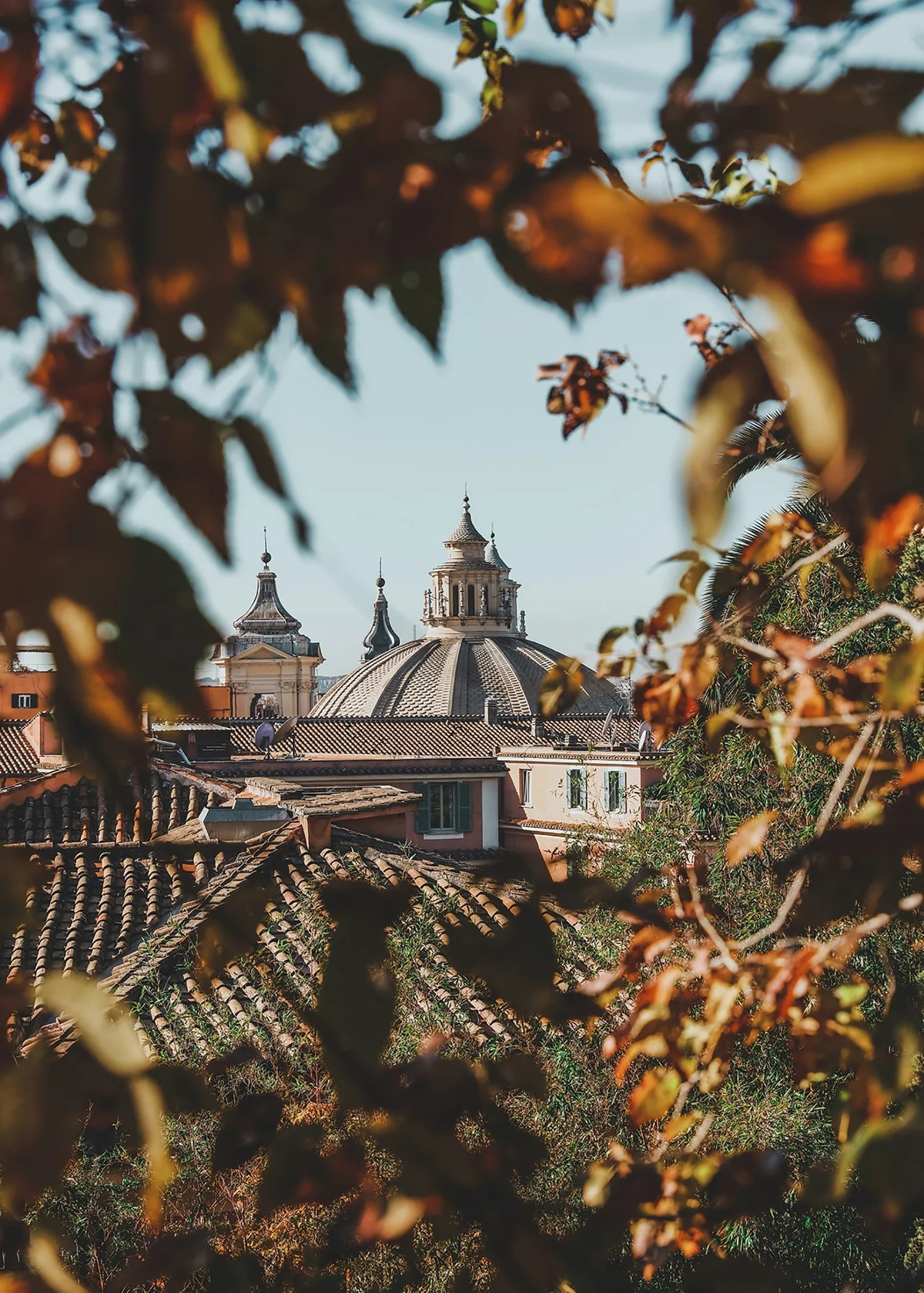 Photography by Luke Gram