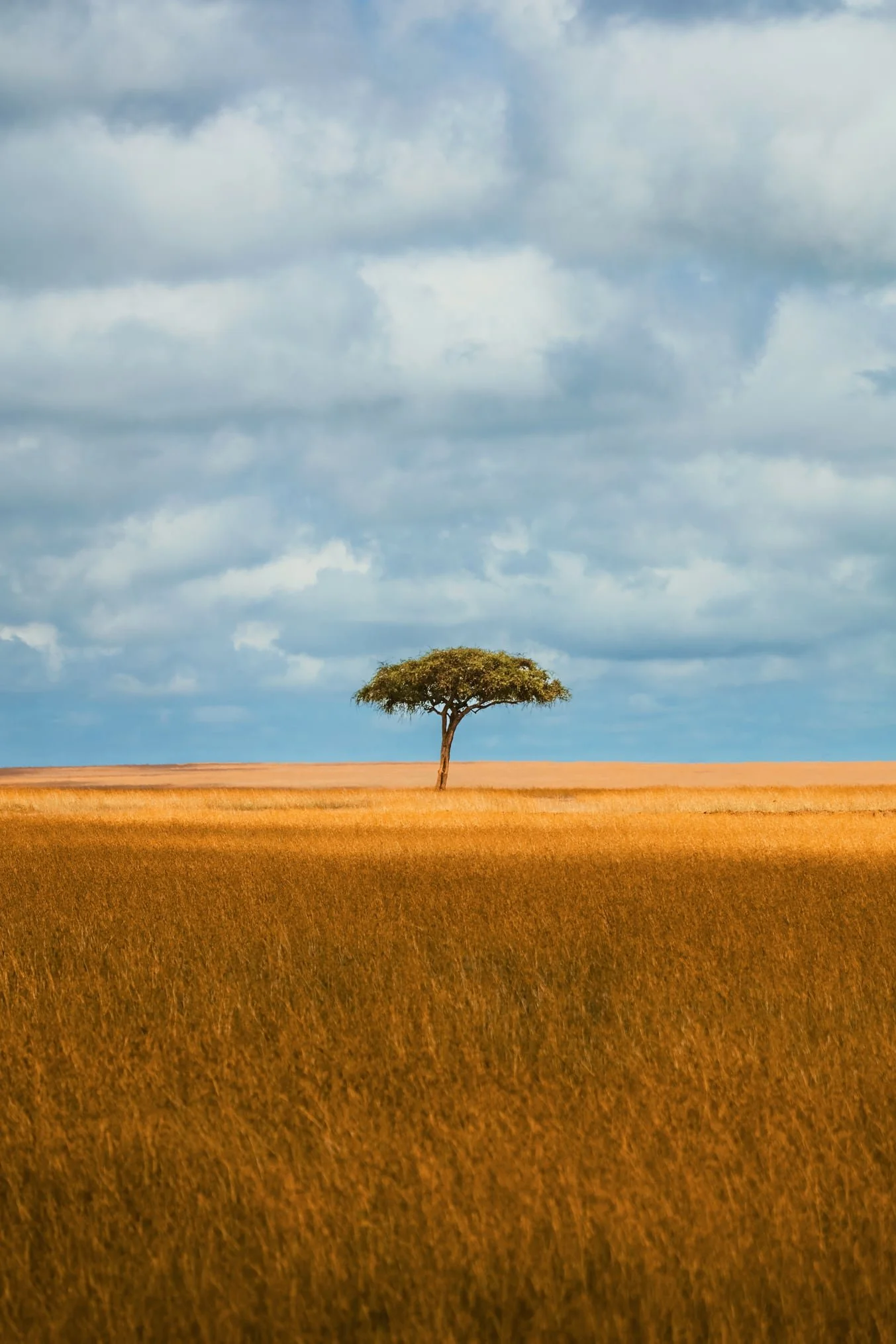Travel & Landscape Photography by Luke Gram