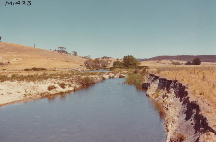 Projects — Mulloon Institute