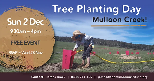 Tree Planting Day at Mulloon — Mulloon Institute