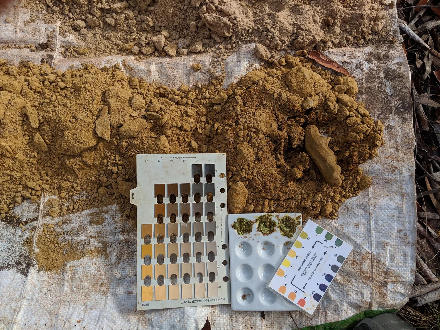 Projects — Mulloon Institute