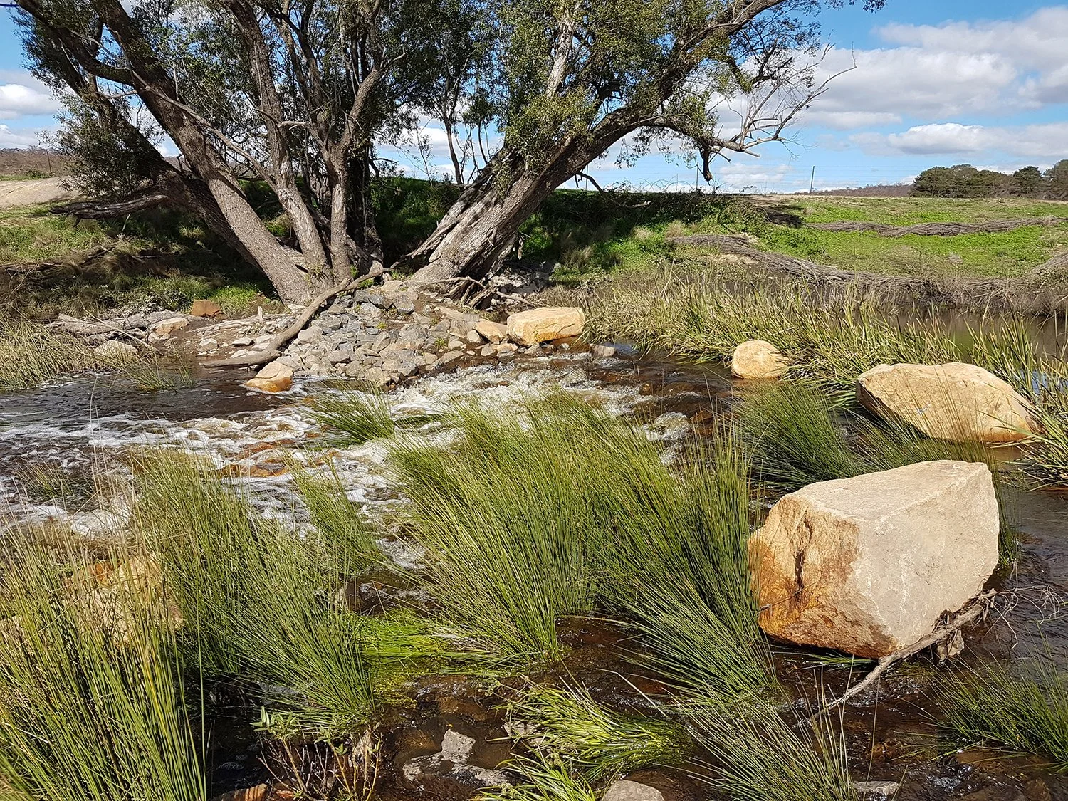 Advocacy — Mulloon Institute