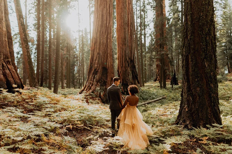 Wedding Collections — Sequoia Weddings