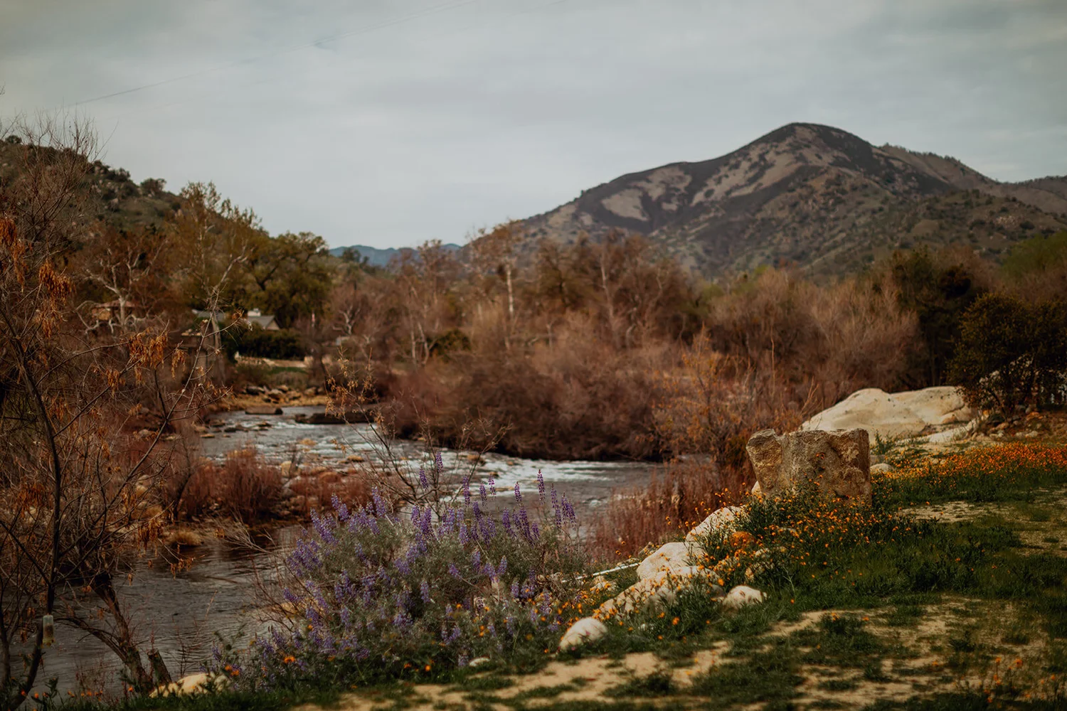 Wedding Collections — Sequoia Weddings