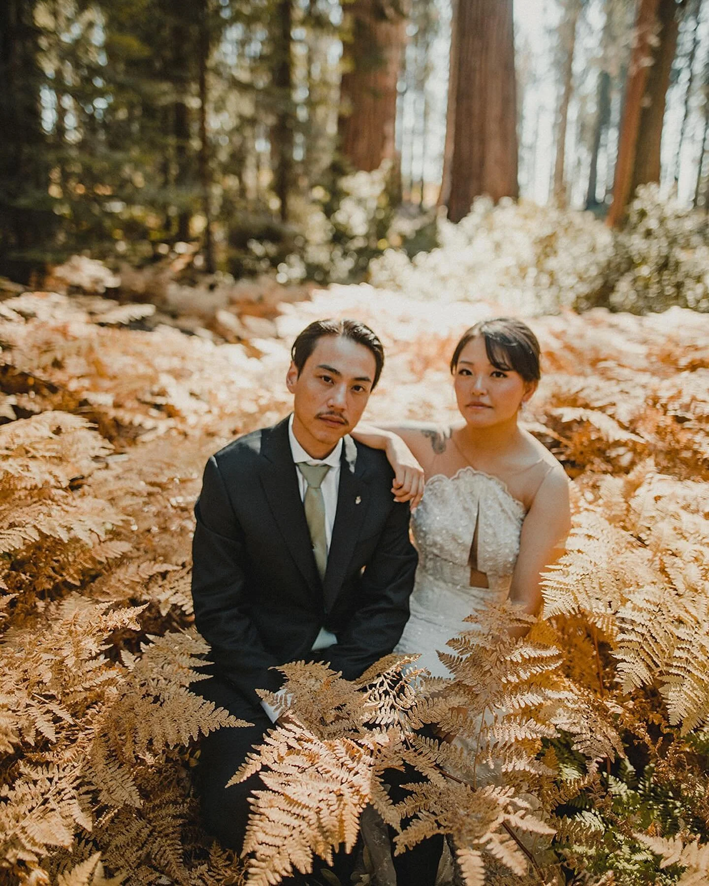 Sequoia Weddings