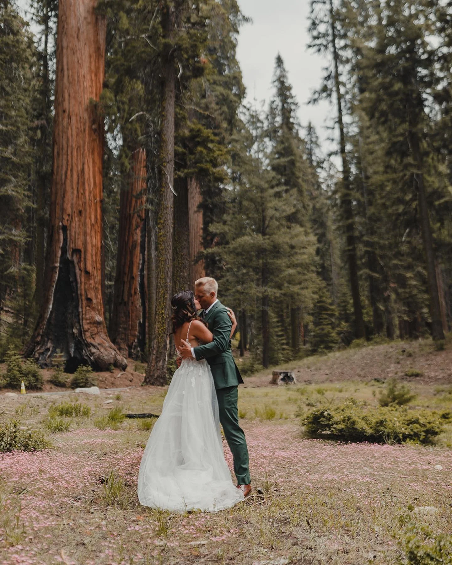 Sequoia Weddings